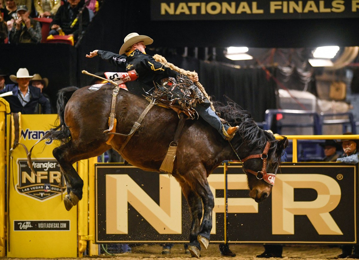 Horse Virus Outbreak Casts Shadow Over Las Vegas’ Biggest Rodeo